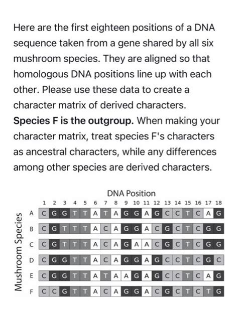 Solved Go Back To Your Character Matrix And Add All Derived