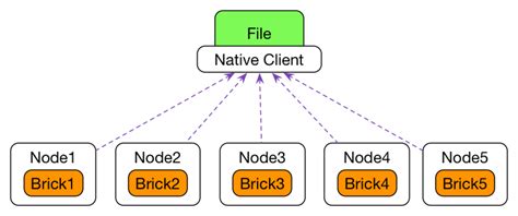 使用 Native Client Gluster Storage System