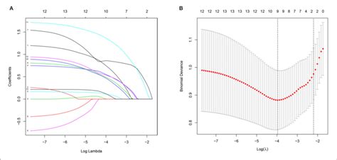 Demographic And Clinical Feature Selection Using The Lasso Binary