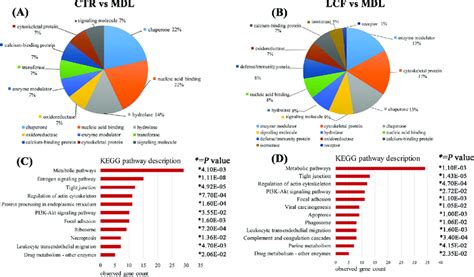 Functional Classification Of Sdeps And Kegg Pathway Analysis Of Deps