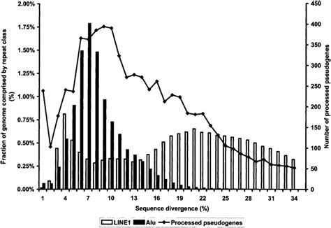 Nucleotide Sequence Divergences Of Human Processed Pseudogenes In