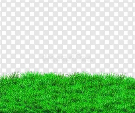 трава на поле изолированная на прозрачном фоне Стоковое Изображение