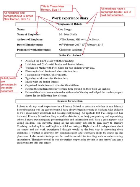 Lcvp Work Experience Diary Teachers Leadership