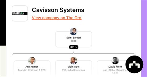 Cavisson Systems Org Chart Teams Culture And Jobs The Org
