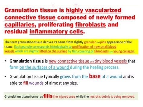 Granulation Tissuepptx