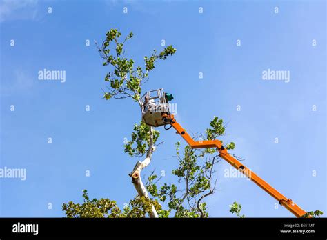 Trimming Tree Lift Arm Hi Res Stock Photography And Images Alamy