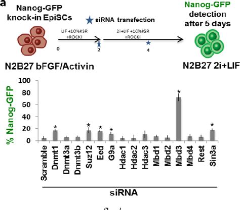 Figure 1 From Deterministic Reprogramming Of Somatic Cells To