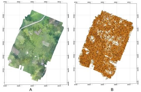 Jenis Data Sig Spasial Vektor Atribut Raster Topologi Citra Temporal Guru Geografi