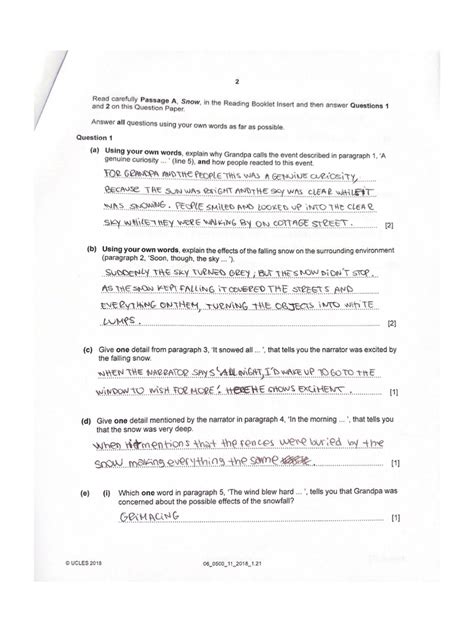 paper 1 igcse pdf