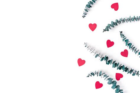 하트 모양의 붉은 나무 모양과 유칼립투스 가지는 흰색 배경에 있습니다 발렌타인 데이를위한 구성 플랫 레이 맨 위 보기입니다 공간을 복사합니다 0명에 대한 스톡 사진 및 기타