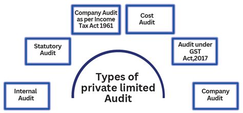 Auditing Of Private Limited Company In India Tap Global