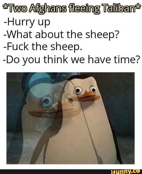 Hurry Up Taliban What About The Sheep Fuck The Sheep Do You