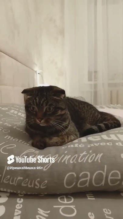 Ощущение у меня не понятное Youtube
