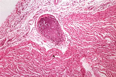 00006067 Peir Digital Library