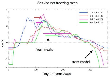 Sea Ice Net Freezing Rates Derived From Seal Data And From A Coupled Download High Quality