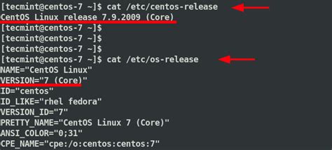 How To Migrate From CentOS To AlmaLinux