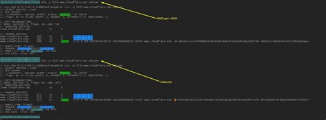 raspberry pi 3b pi hole ddns nginx dnscrypt unbound