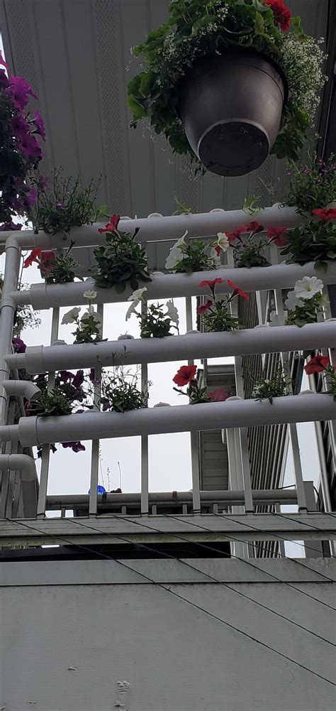 Fertilizer Question Rhydroponics