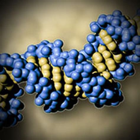 Rna Interference
