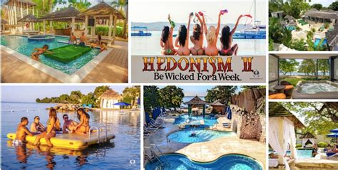 Hedo 24 Roseparties