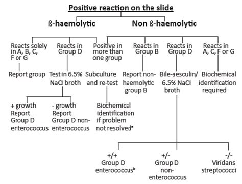 The Oxoid Streptococcal Grouping Kit 663 Words Essay Example