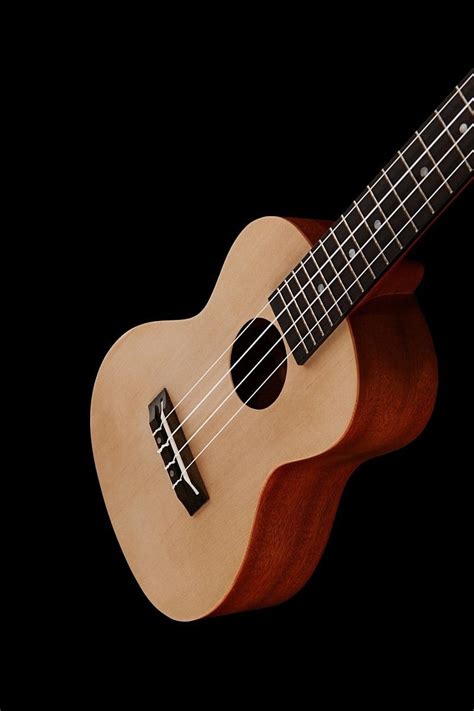 Ukelele: our gift ideas – t.blog