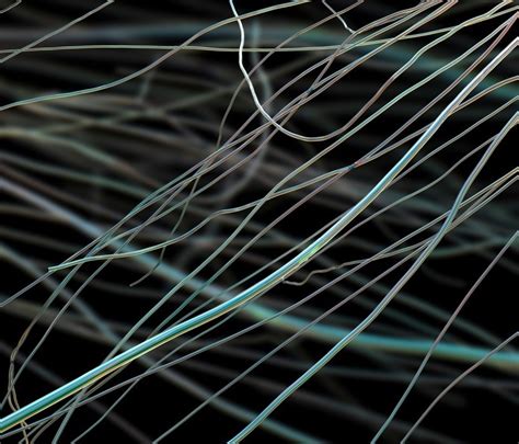 Enhancing The Piezoelectricity Of Electrospun Polymer Nanofibers For Wearable Electronics Air