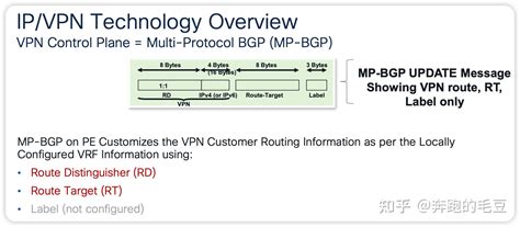 Mpls L3vpn Rd Rt Vpn Label 知乎