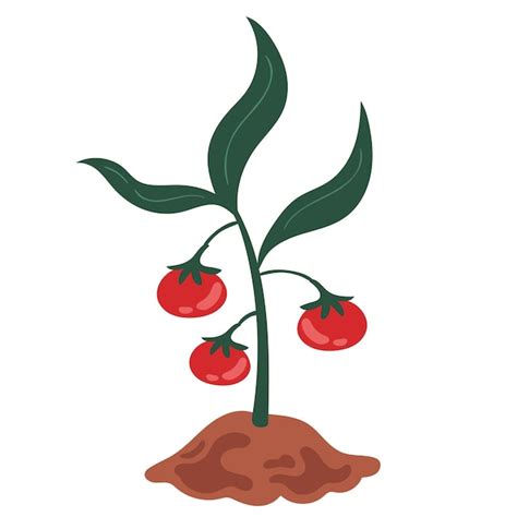 How To Draw Tomato Leaf