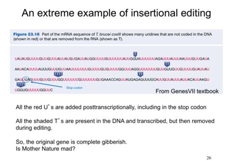 Biol 434 Exam 2 Flashcards Quizlet