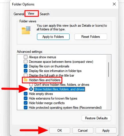 How To Show Hidden Files Folders In Windows