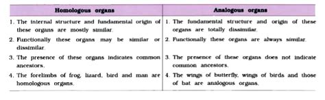 Explain The Terms Analogous And Homologous Organs With Examples