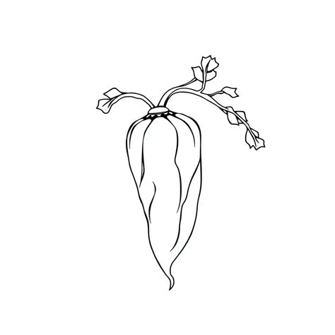 무료 음식 색칠하기 그림 맛있는 음식 색칠 도안 모음