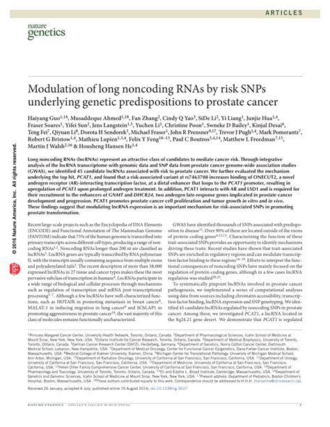 pdf modulation of long noncoding rnas by risk snps underlying genetic