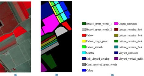 Figure 4 From Enhancing Hyperspectral Image Classification For Land Use