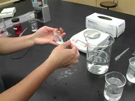 Hargrow Homebabe Lab Diffusion And Osmosis Iodine Starch Experiment With Bag Science