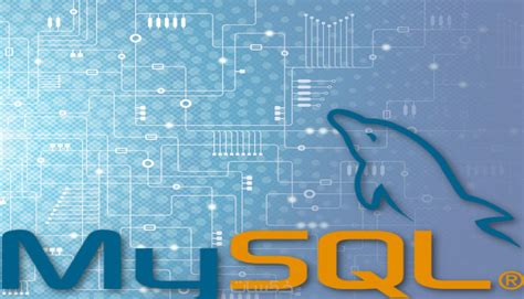 ربط جداول قاعدة بيانات mysql لتصفحها من خلال برنامج excel خمسات