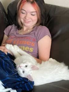 How Kim Fell In Love With Purebred Maine Coon Kittens
