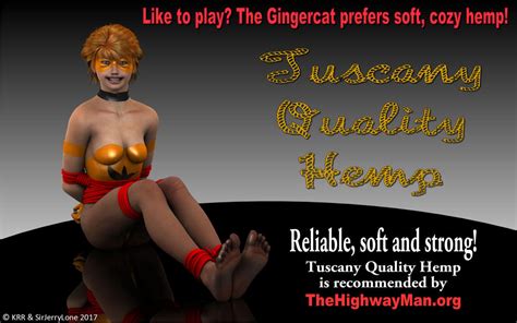 Awesome Lasso Trick 22 By SirJerryLone On DeviantArt