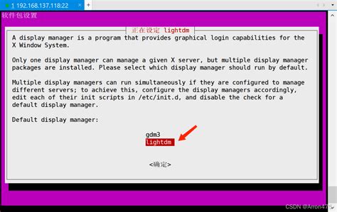 通过安装vnc服务器x11vnc 或vnc4server 和配置rvice实现远程通过vnc viewer访问vnc服务器