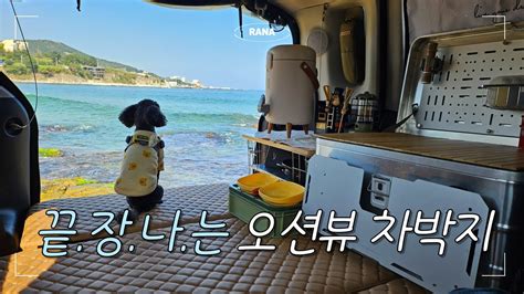 레이차박 이렇게 좋을수가🤭 역대급 오션뷰 차박지 ｜트렁크밖은바다뷰🌊｜애견동반｜캠핑브이로그 Youtube