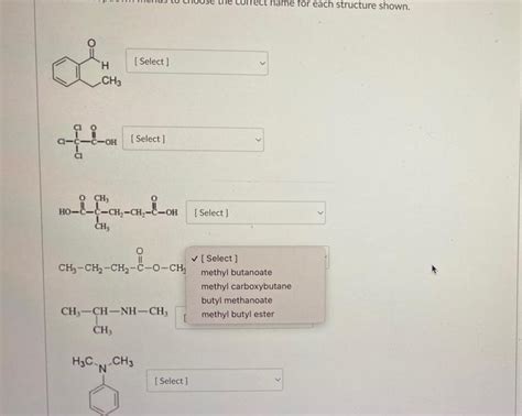 solved use the dropdown menus to choose the correct name for