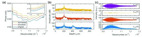 a A representative phase delay curve φ D blue and its smoothed Download Scientific