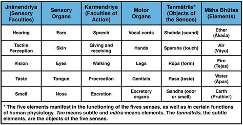Pin On Ayurveda