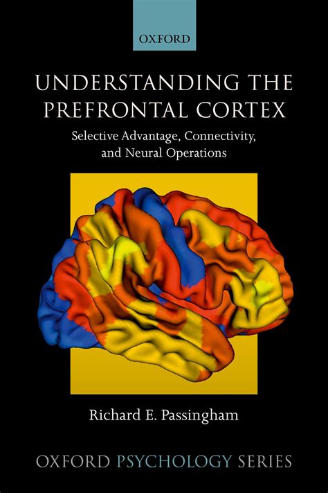 Dorsolateral Prefrontal Cortex Attention Deficit Hyperactivity