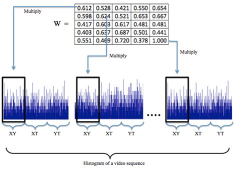 Multiplication Of Weighting Matrix To X Y Plane Of Histogram Bins