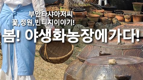 봄 야생화농장에가다 야생화농장 야생화농원 야생화정원 아름다운정원 타샤 타샤튜더 부안타샤아저씨 부안가볼만한곳 린넨윈피스 야생화가꾸기 린넨옷가게 린넨