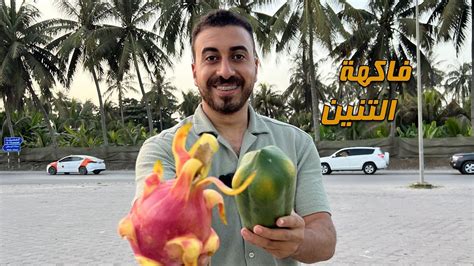فاكهة التنين أو الدراجون فروت في سلطنة عمان Youtube