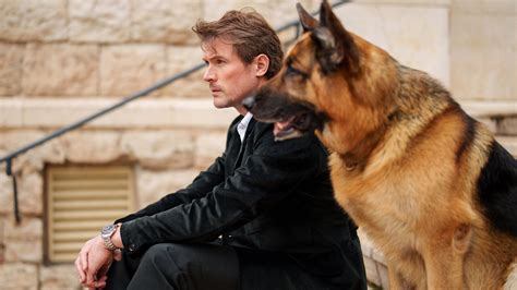 Hudson And Rex 2019 Tv Show Az Movies