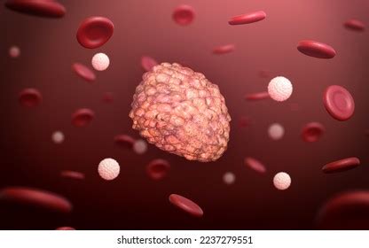 Blood Cancer Leukemia Medical Microbiology Concept Stock Illustration Shutterstock